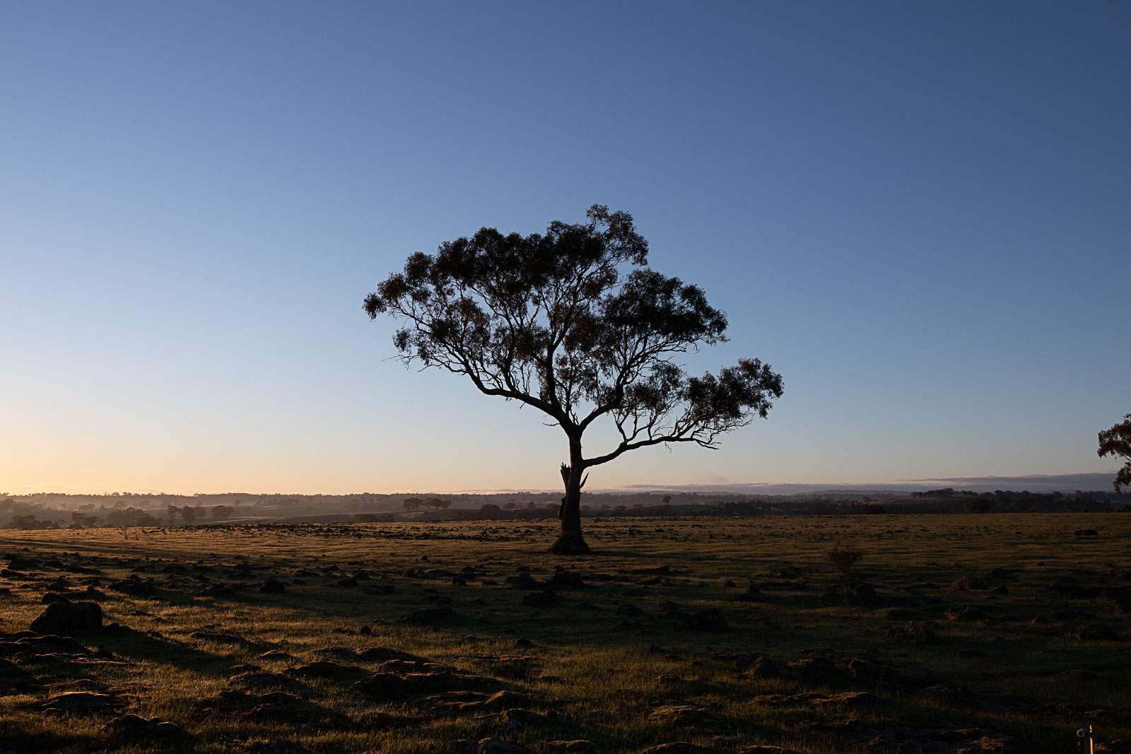 Wagna – Wagna’s site