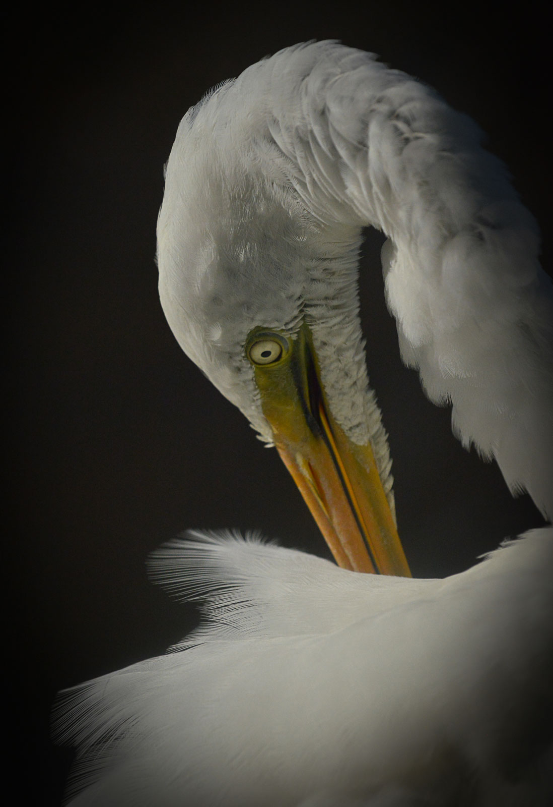 Wagna – Wagna’s site