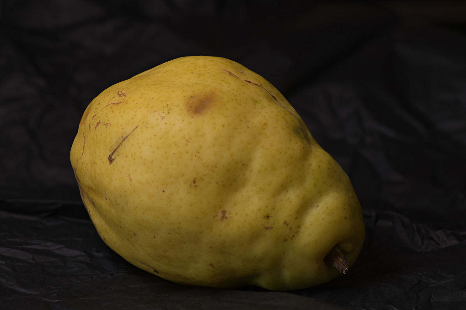 Still Life – Wagna